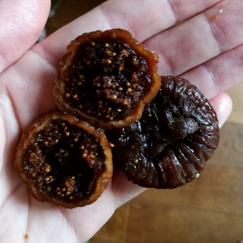 2. Fig Pudding: Touching history – Grounded History